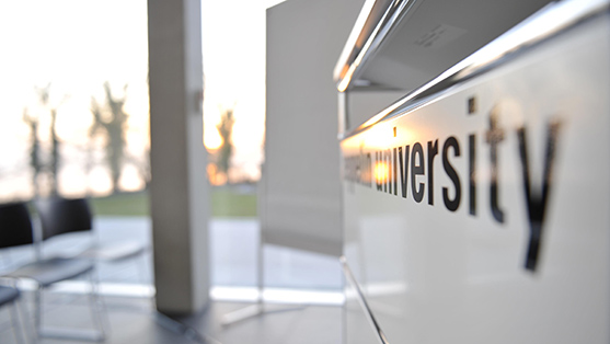 Public Management within UN | lecture | Zeppelin University