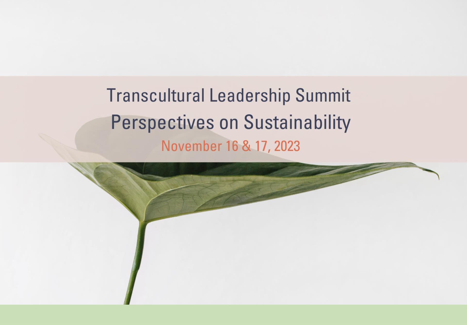 Save the Date: November 16 and 17 for the TLS 2023 | Zeppelin University