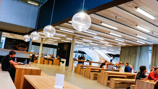 Sustainability | Zeppelin University