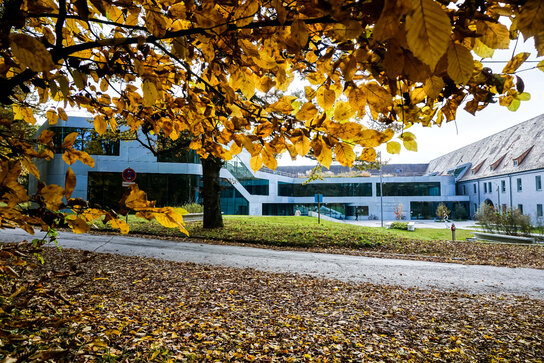 Job Openings | Zeppelin University